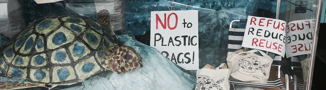 Follow-up Activities - Plastic Pollution Solutions